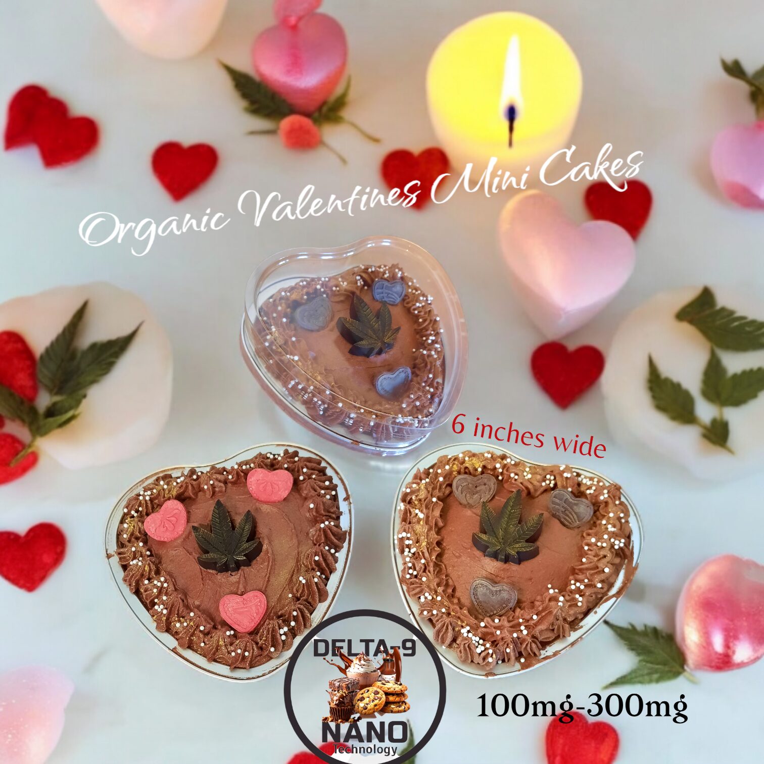 Buy Delta 9-Infused Organic Chocolate Cupcakes Shots Online